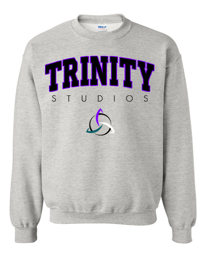 Trinity Design 5 non hooded sweatshirt